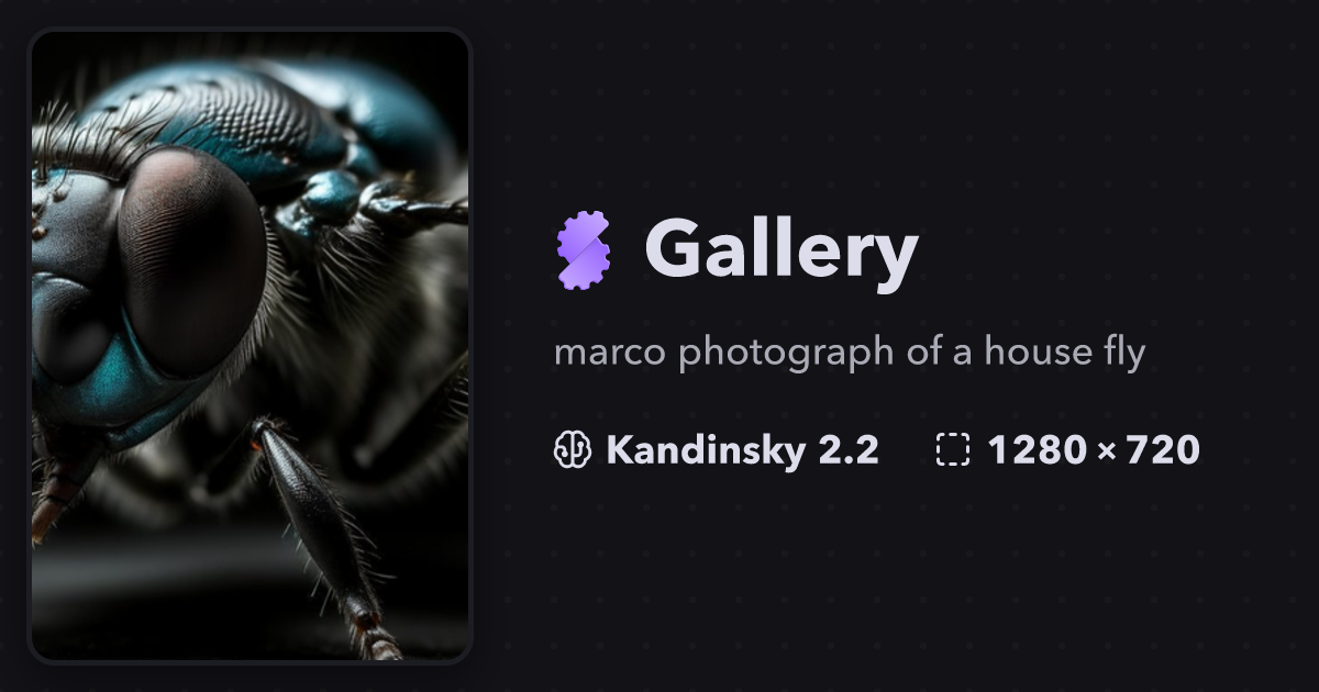 Marco photograph of a house fly | Gallery